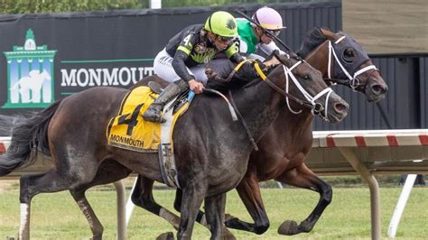 2025 Haskell Stakes Prediction Odds Contenders Time Picks From Top