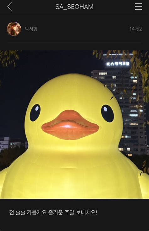 잼맛 On Twitter 🐶 전 슬슬가볼게요 즐거운 주말 보내세요