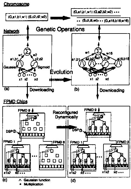 Evolvable Hardware For Generalized Neural Networks Download