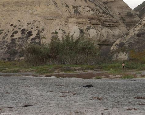 Gay Men Nude Beach Mserlten