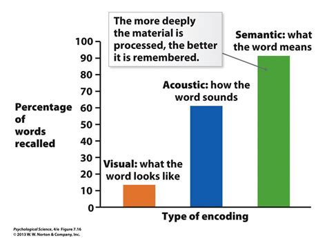 Psychological Science ©2013 W W Norton And Company Inc Ppt Download