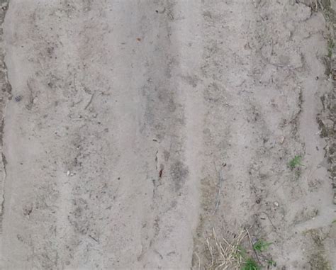 Cotton Detection Object Detection Dataset And Pre Trained Model By