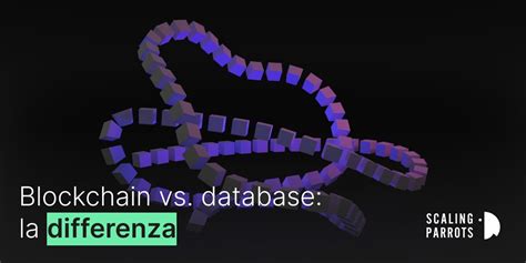 Blockchain Vs Database Che Cosè Meglio