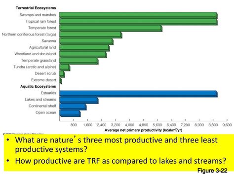Ppt Ecological Efficiency Powerpoint Presentation Free Download Id 6897911