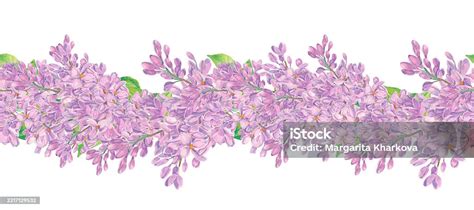 라일락 수채화 꽃 가지 흰색에 격리된 복사 공간이 있는 템플릿입니다 봄 Syringa 완벽 한 프레임 테두리 여름의 보라색 꽃 식물 꽃 배경 디자인용 클립아트 개화기에 대한