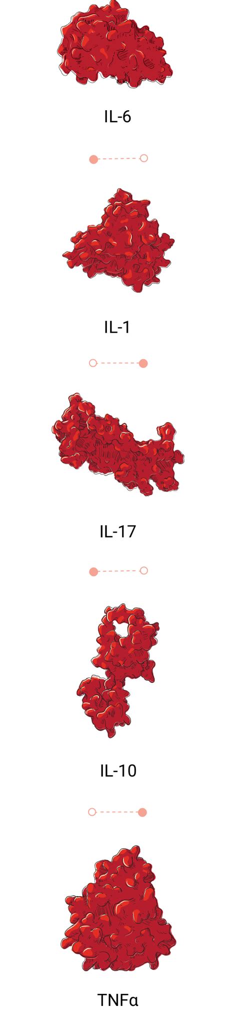 Il 6 And Pmr Pmr And Il 6 Hcp Website