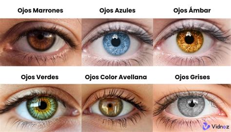 Resumen De Colores Más Ojos