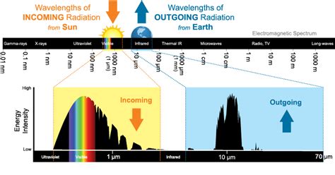 What Absorbs Uv Rays In The Atmosphere At Jon Goodman Blog