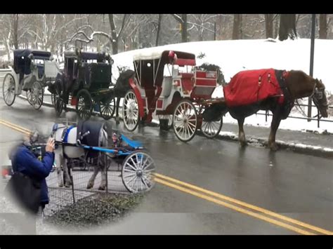 Tamara Bedic On Linkedin Join Frmr State Senator Tony Avella Nyclass