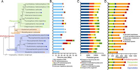 Algorithm To Classify Fungi And Unlock Climate Insights Elements Archive