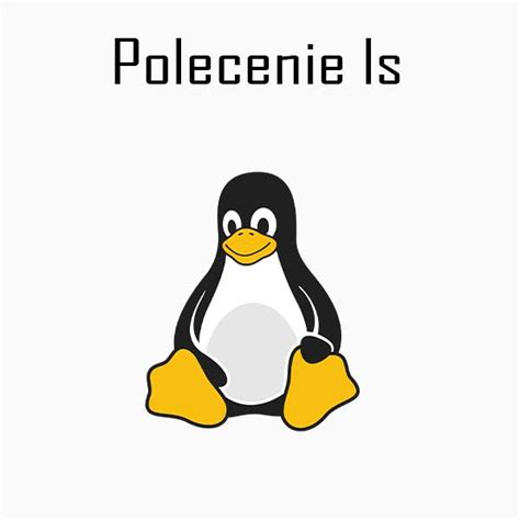 Polecenie Ls Endtech