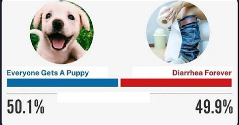 Politics For Reference Use Album On Imgur