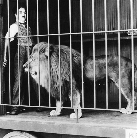 大师的风采——查理·卓别林奥斯卡