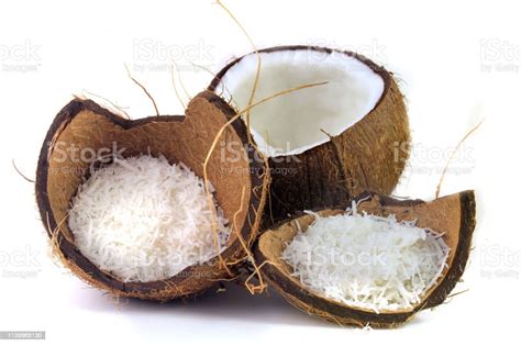 신선한 코코넛 플레이크 나무 껍질과 흰색 배경에 고립 된 껍질에 배치 전면 보기 0명에 대한 스톡 사진 및 기타 이미지 0명 가루로 빻은 갈기갈기 찢어진 Istock