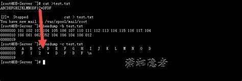 Linux命令学习总结：hexdump 潇湘隐者 博客园