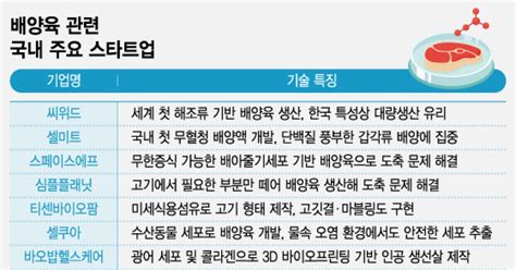 소 도살 없이 맛있는 고기 먹는다입맛 돋우는 K배양육 기술 소 도살 없이 맛있는 고기 먹는다입맛 돋우는 K배양육 기술