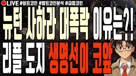 실시간 사하라에이아이 뉴턴프로토콜 대폭락 이유는 리플 도지코인 생명선이 코앞 이더리움 솔라나 스트라이크 알트코인 불장 7월 25일 저녁 라이브 비트코인 폭락