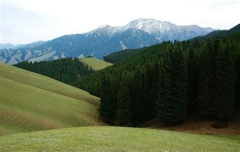 我的知乎总目录 知乎