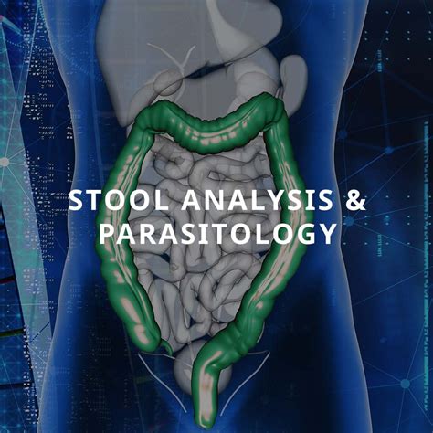 Stool Analysis And Parasitology Lab Test Asia