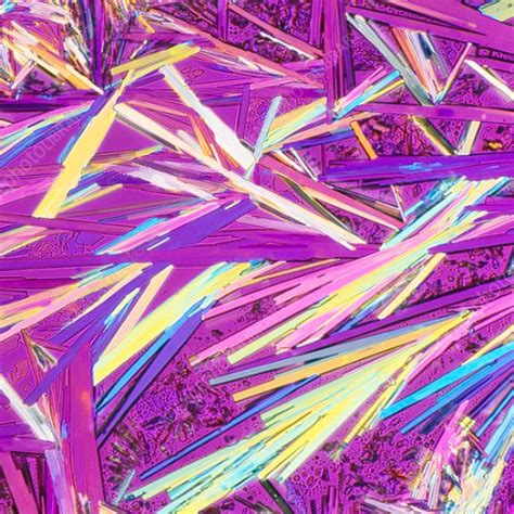 Stream Cracc Rocc 2025 Patreon By Aweminus Listen Online For Free