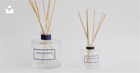 흰색 표면에 갈대가있는 두 병 사진 Unsplash의 무료 디퓨저 이미지