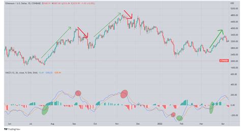 Best MACD Crypto Trading Strategies Forex Robot Expert
