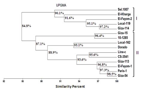 Dendrogram Generated By Upgma Cluster Analysis Using Similarities Download Scientific Diagram