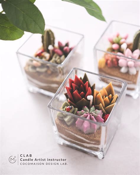 코코메종 Cocomaison 🌵 테라리움캔들 선인장캔들 다육이캔들 꾸준히 인기많은 스테디셀러 캔들입니다 그라데이션 컬러 테크닉도 한번더 복습해보고 그린컬러 조색