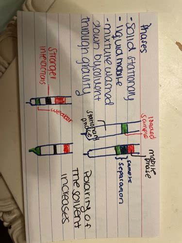 Chem Lab Final Flashcards Quizlet