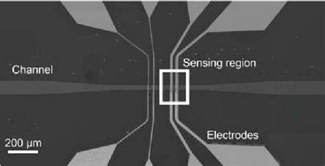 Figure 3 From Towards A Gigahertz Microfluidic Impedance Cytometer Semantic Scholar
