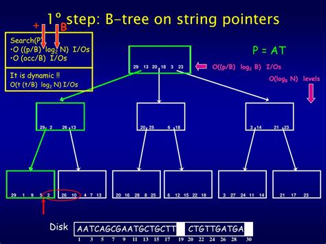 Ppt String Algorithms And Data Structures Or Tips And Tricks For Index Design Powerpoint