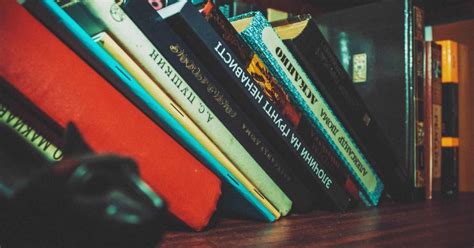 Top CRM Functions That Drive Business Growth Rolustech