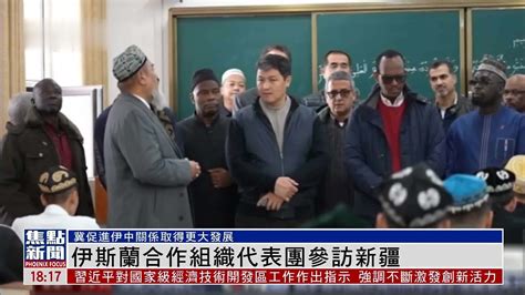 伊斯兰合作组织代表团参访新疆 凤凰网视频 凤凰网