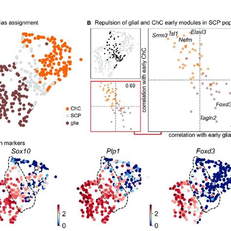 Compositional And Biasing Analysis Of Scp Cells Toward Either Of The Download Scientific