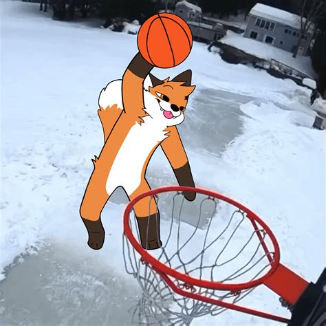 Furryirl Rfurryirl