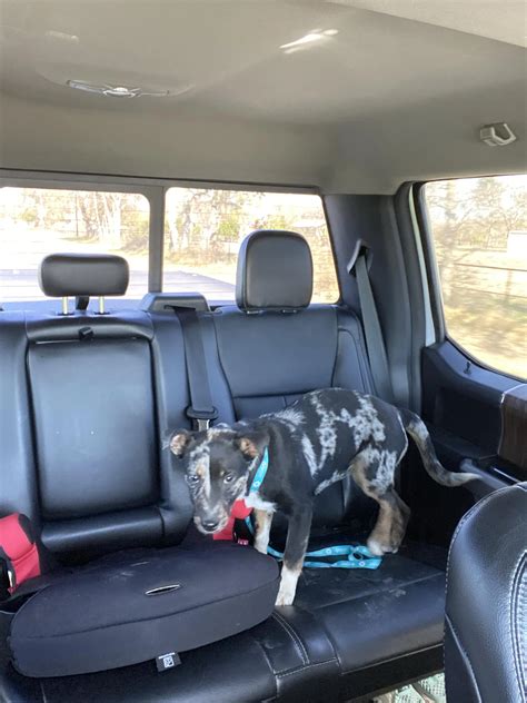 New Foster Scrolller