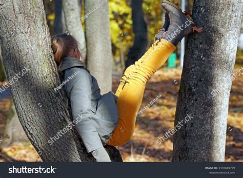 57 818 Device Tree Images Stock Photos Vectors Shutterstock