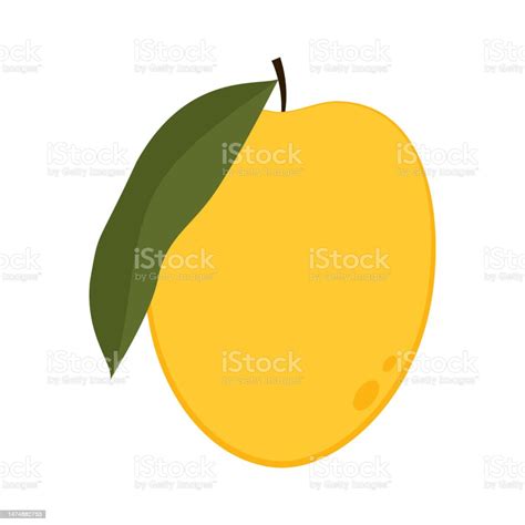 Mango Vector Mango On White Background Logo Design Mango Cartoon Vector