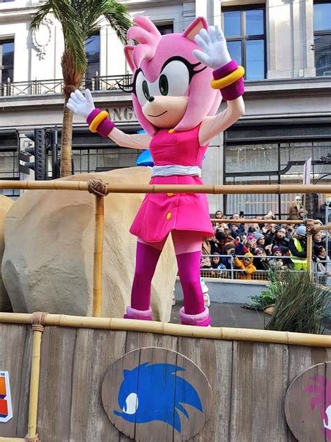 Amy Rose Costume