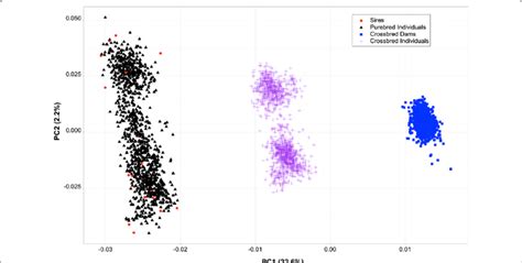 First Two Principal Components For Variation In The Genomic