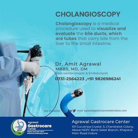 Spyglass Ds System Ebrochure Pdf Clinical Medicine Medical 51 Off