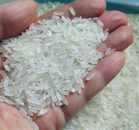 夏天，米里面为什么会“生虫”？虫子是从哪里来的？长虫的大米还能吃吗？米虫米桶虫卵