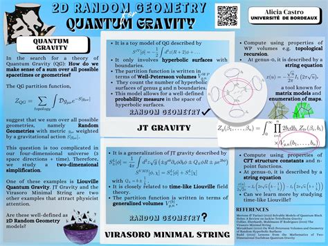 Two Dimensional Random Geometry Poster Session • Imsi