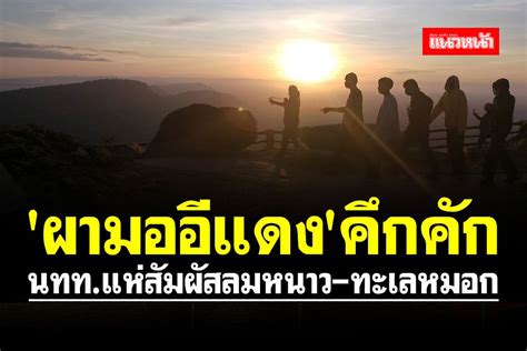ข่าว Like สาระ หยุดยาวคึกคัก นทท แห่สัมผัสลมหนาว ทะเลหมอก ผามออีแดง