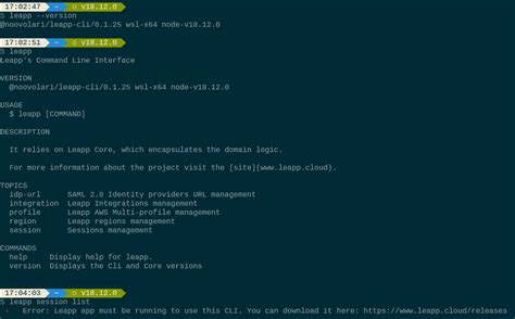 WSL And CLI Issue Issue Noovolari Leapp GitHub