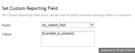 519scenario Builder Reference Guidescenarioblockssetcustomreportingfield Bright Pattern