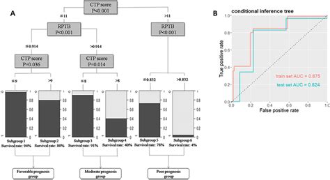 Conditional Inference Tree Model For Prediction Of 3 Month Survival In
