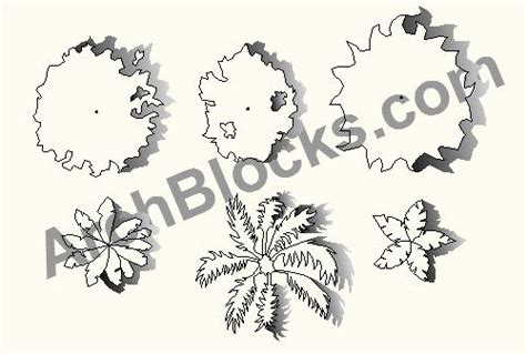 AutoCAD Tree Blocks Plan View Library