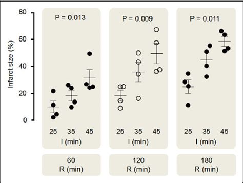 Figure 1 From Characterization Of The Langendorff Perfused Isolated