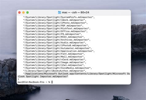 Outlook Search Not Working Mac Fix March Updated